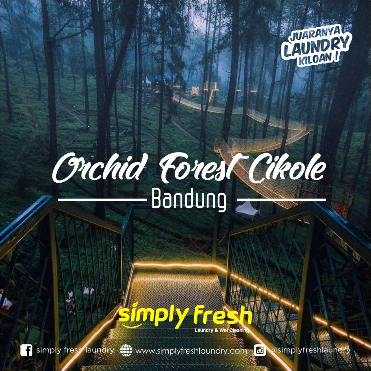 Tanaman Anggrek, Orchid Forest Cikole Destinasi Wisata Kota Bandung ...